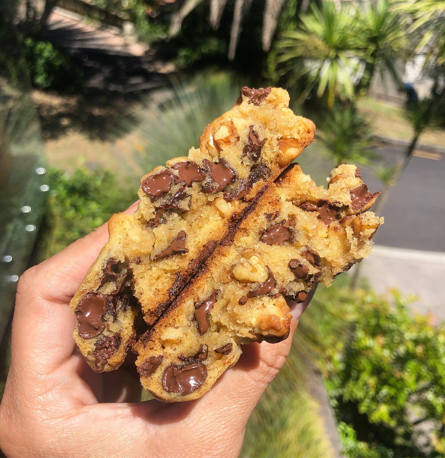 Cookies – Doe Donuts